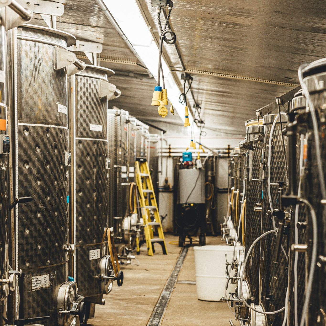 3Bros Wine Launch's Two Guided Tours! – Three Brothers Wineries and Estates