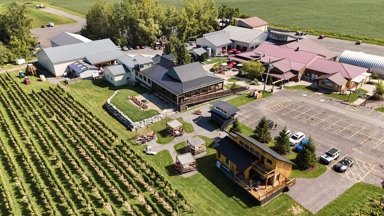 Planning Your First Visit to Three Brothers Wineries and Estates