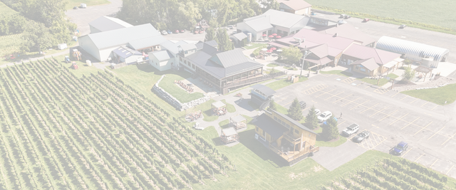The Team – Three Brothers Wineries and Estates